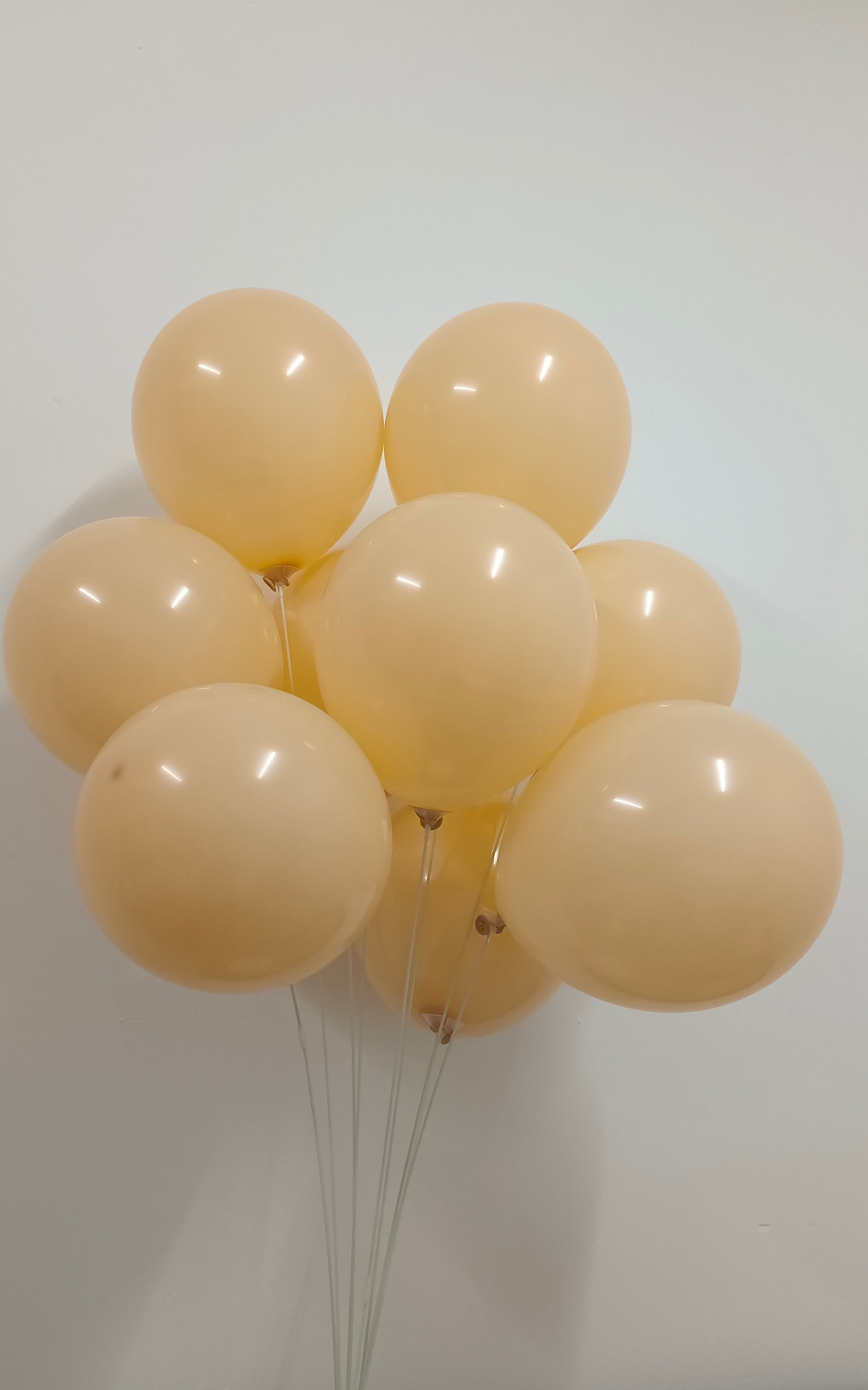 Piel Retro – GLOMEX